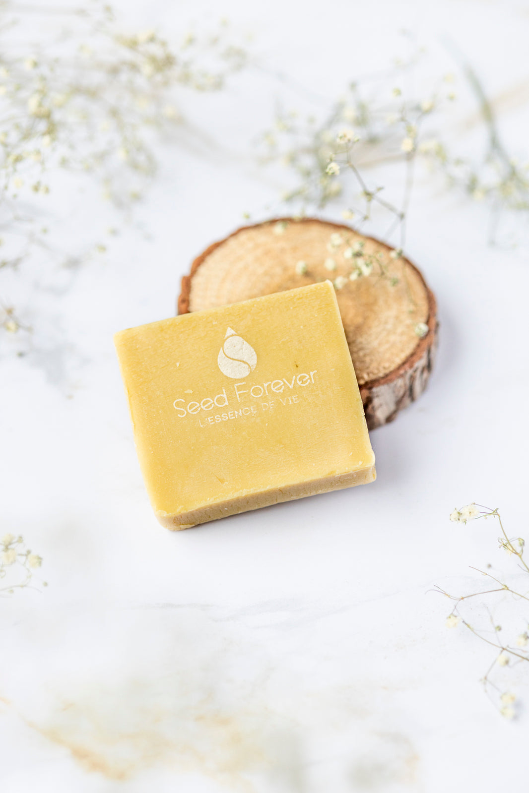 Seed Forever - Cosmétiques naturels, durables & innovants, bio - Lyon ...